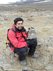 Nueva fauna de condrictios fósiles (peces cartilaginosos) | Museo ...