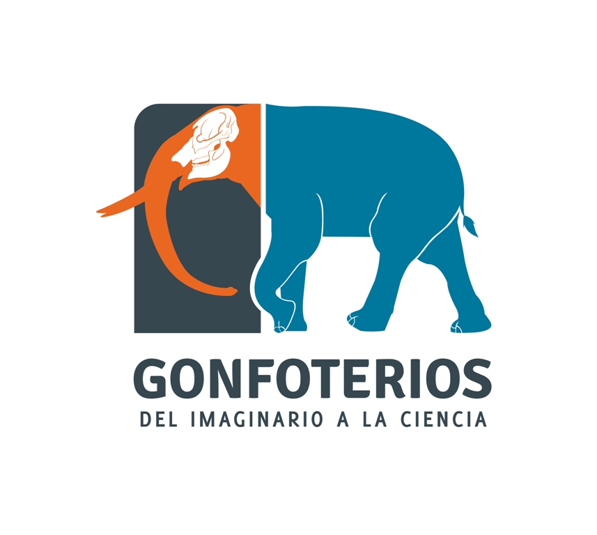 Gonfoterios... las mega bestias que llegaron a Chile | Museo Nacional ...