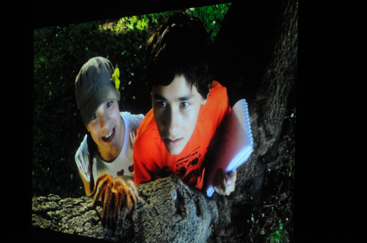 MNHN se anticipa a su reapertura con lanzamiento de serie educativa ...