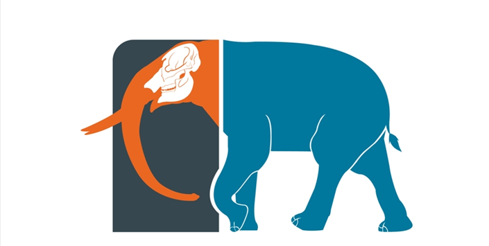 Itinerancia Gonfoterios San Vicente de Tagua Tagua | Museo Nacional de ...