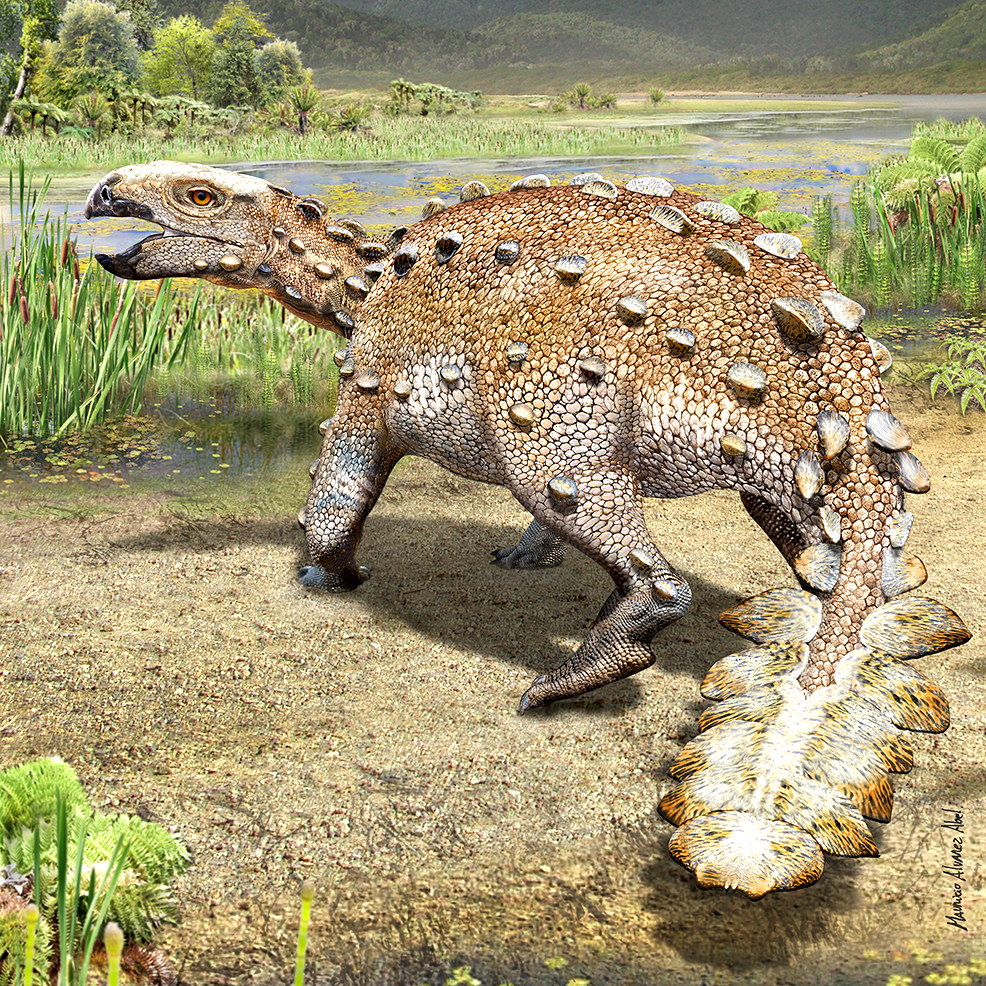 Paleontólogo del MNHN participa en descubrimiento de nuevo dinosaurio ...