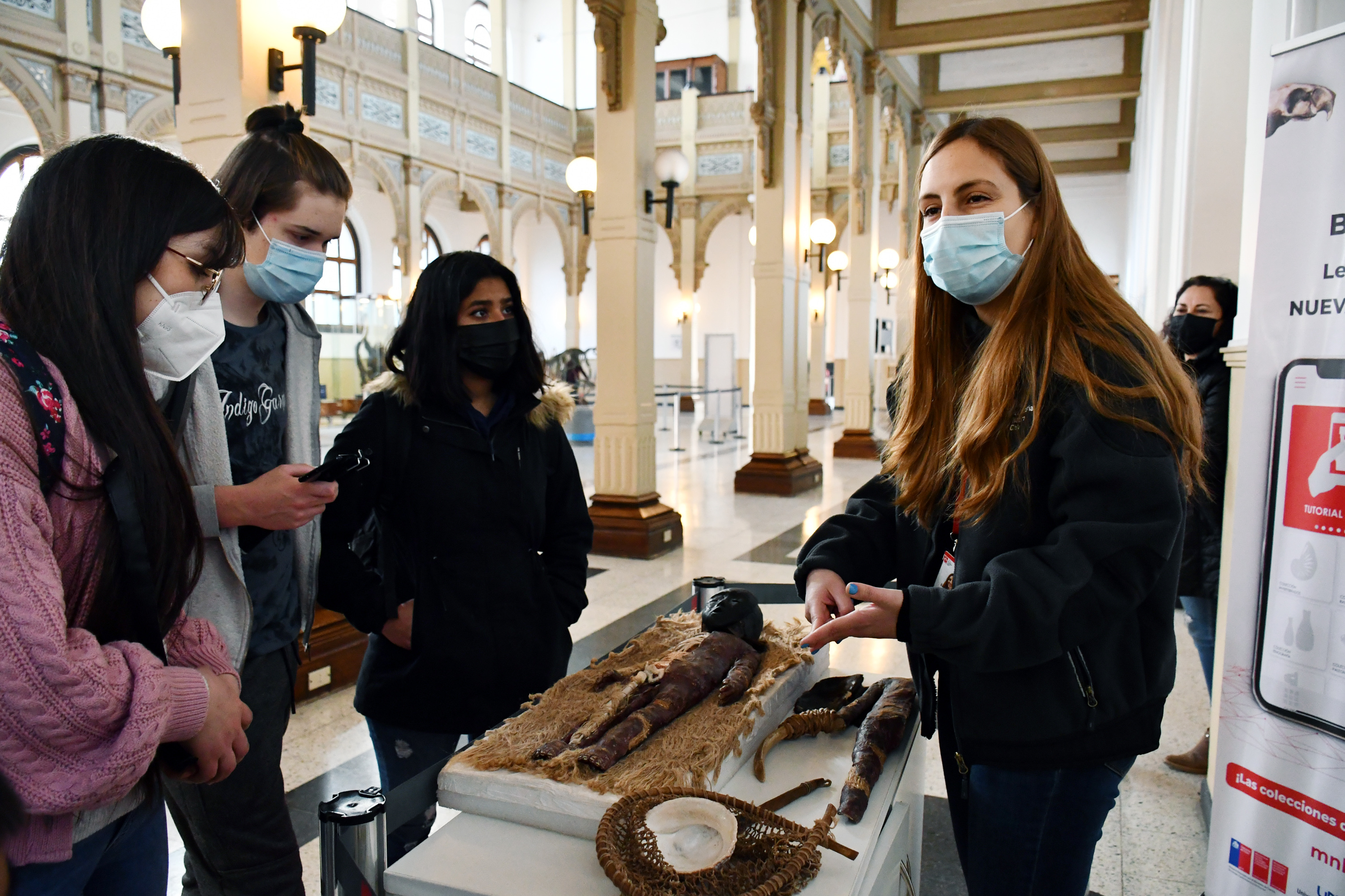 ¡no Te Pierdas Los Talleres De Verano 2022 En El Mnhn Museo Nacional De Historia Natural