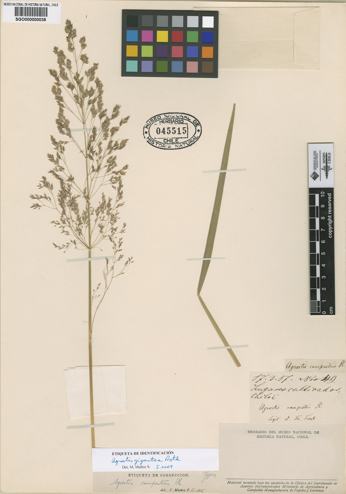 Herbario | Museo Nacional de Historia Natural