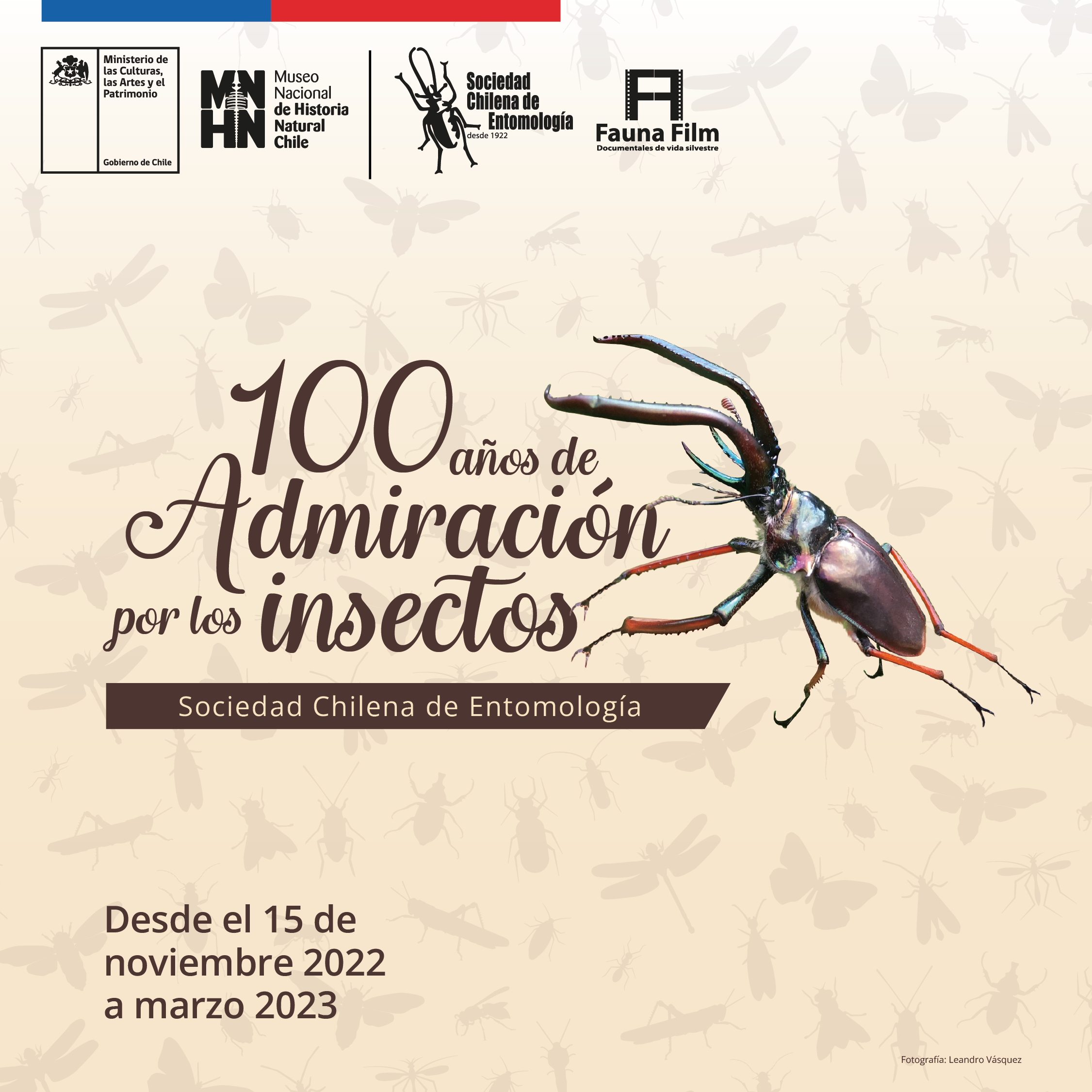 100 años de admiración por los insectos: Sociedad Chilena de ...